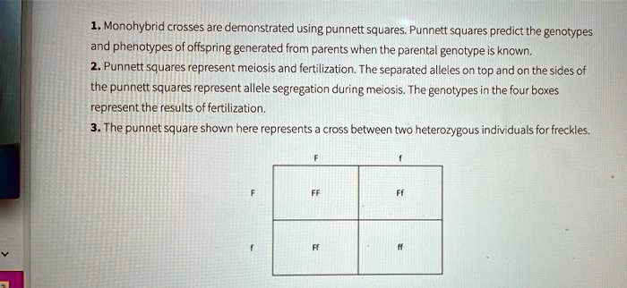 SOLVED:Monohybrid crosses are demonstrated using punnett squares ...