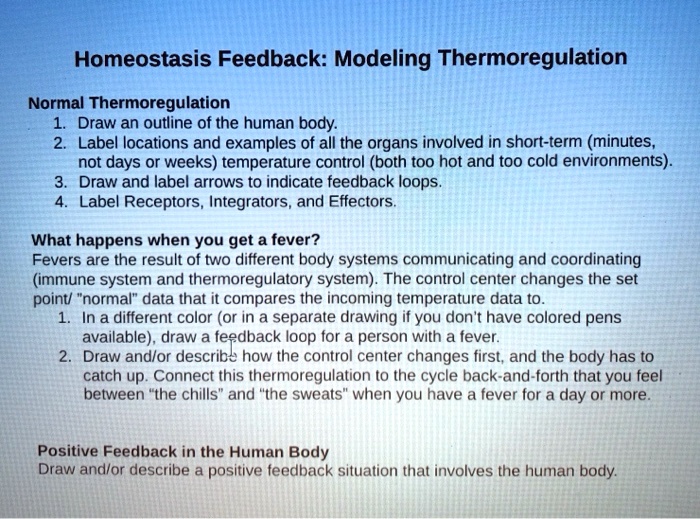 SOLVED: Homeostasis Feedback: Modeling Thermoregulation Normal ...