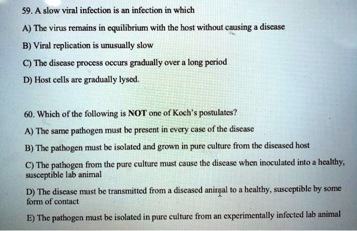 SOLVED: 59.A slow viral infection is an infection in which A) The virus ...