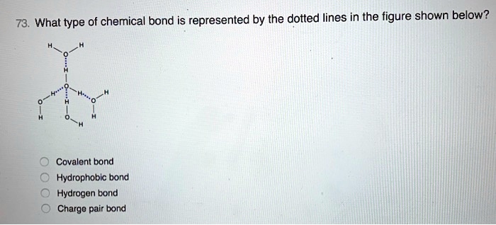 SOLVED: 73. What type of chemical bond is represented by the dotted ...