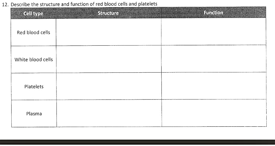 12. Describe the structure and function of red blood cells and ...