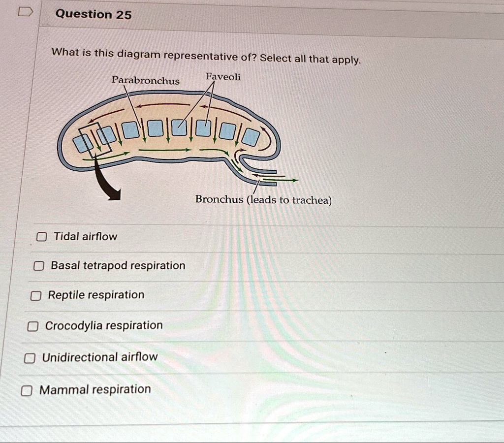 Question 25 What is this diagram representative of? Select all that ...