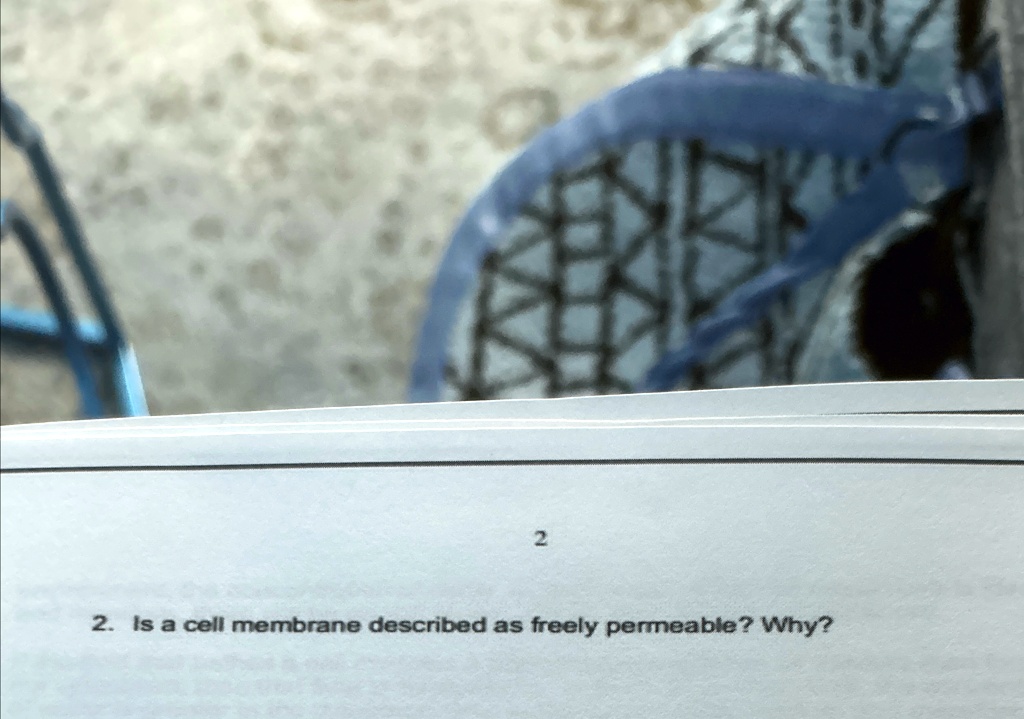 2 2 is a cell membrane described as freely permeable why 2 is a cell ...
