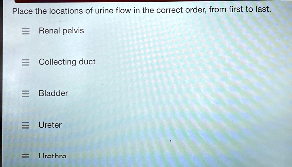 [GET ANSWER] place the locations of urine flow in the correct order ...