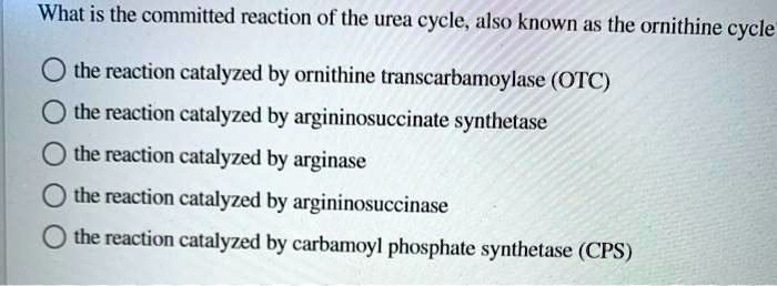 What is the committed reaction of the urea cycle also known...