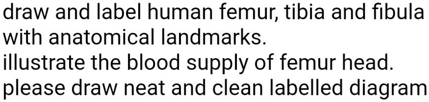 draw and label human femur, tibia and fibula with anatomical landmarks ...