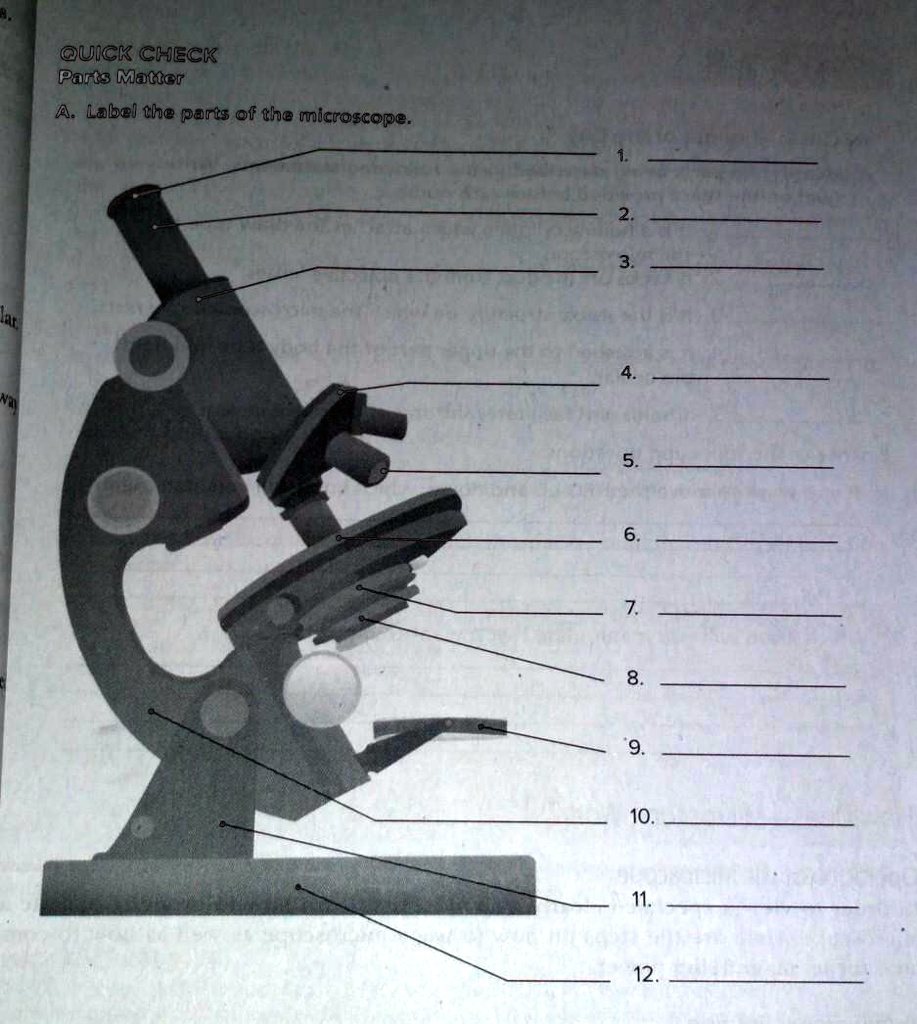 QUICK CHECK Parts Matter A. Label the parts of the microscope. 1. 2. 3 ...