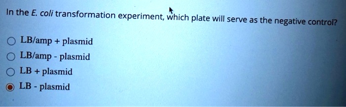 in the e coli transformation experiment which plate will serve as the ...