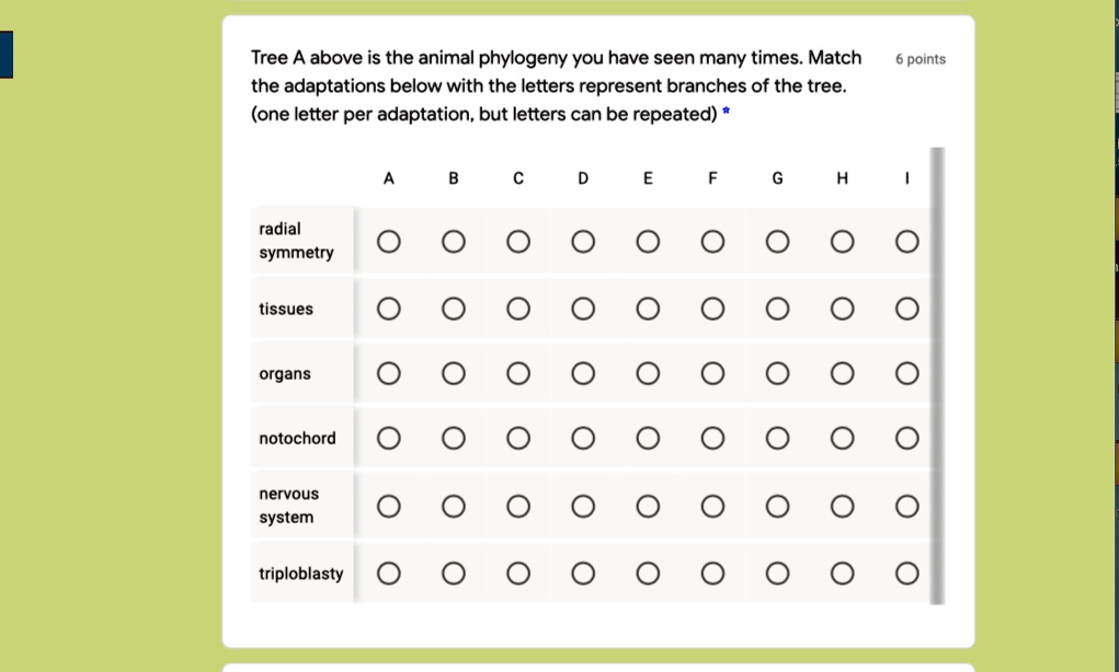 tree a above is the animal phylogeny you have seen many times match the ...