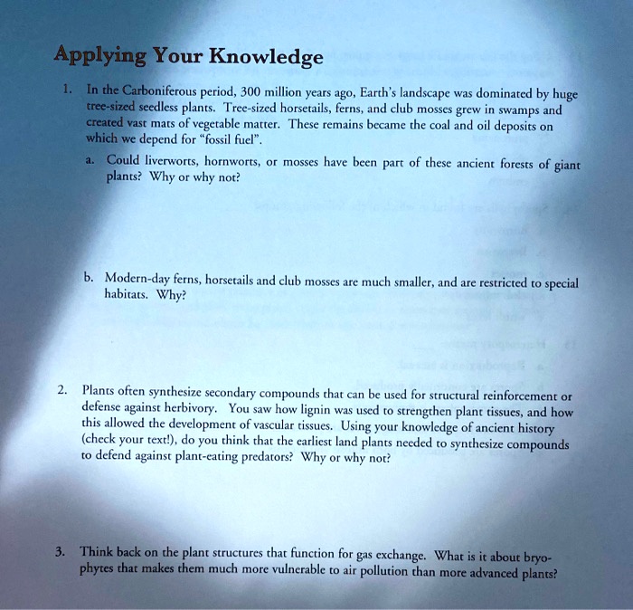 applying your knowledge in the carboniferous period 300 million years ...