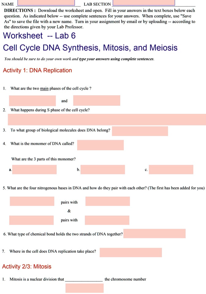 SOLVED: Name: LAB SECTION DIRECTIONS: Download the worksheet and open ...