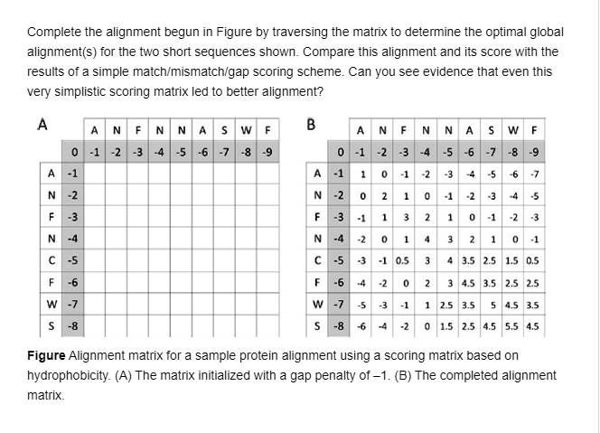 SOLVED:Complete the alignment begun in Figure by traversing the matrix ...