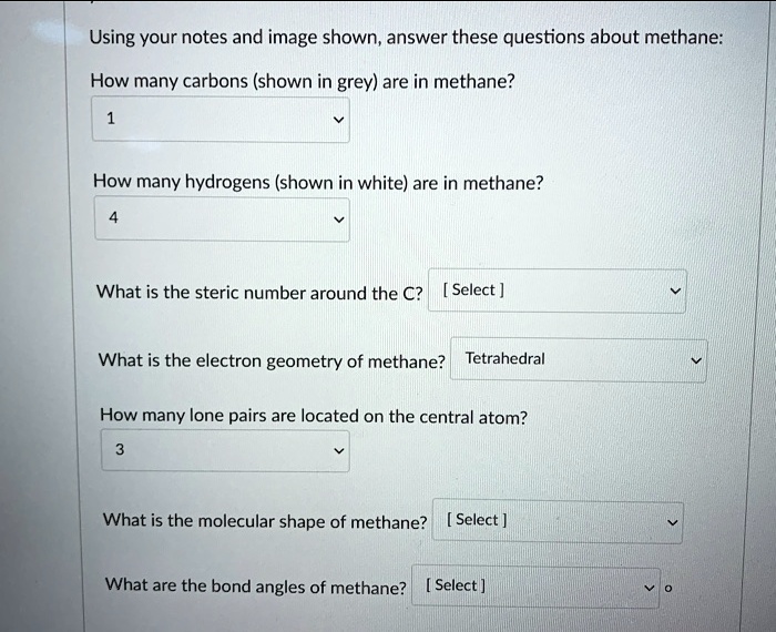 SOLVED: Using your notes and image shown, answer these questions about ...
