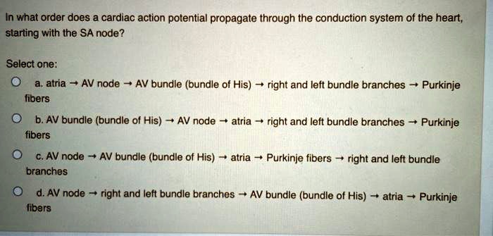 In what order does a cardiac action potential propagate through the ...