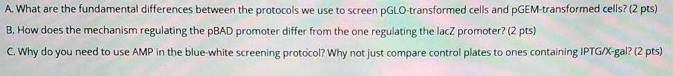 SOLVED: A What are the fundamental differences between the protocols we ...