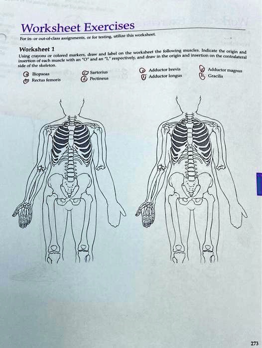 [GET ANSWER] Worksheet Exercises For in- or out-of-class assignments ...