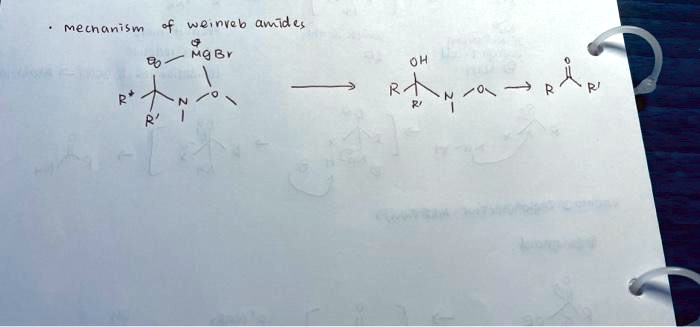 SOLVED: Text: Draw mechanism of Weinreb ketone synthesis mechanism ...