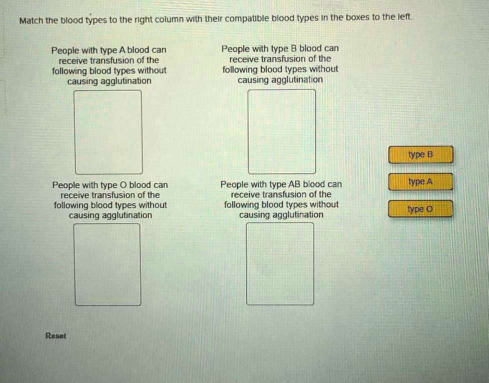 Match the blood types to the right column with their compatible blood ...
