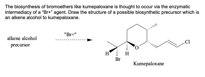 The biosynthesis of bromoethers like kumepaloxane is thought to occur ...