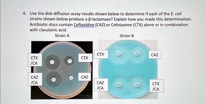 SOLVED: 4. Use the disk diffusion assay results shown below to ...