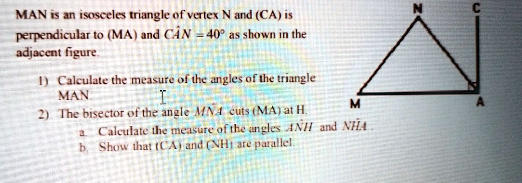 SOLVED: MAN is an isosceles triangle with vertex N and (CA) is perpendicular to (MA) and CiN 409 ...