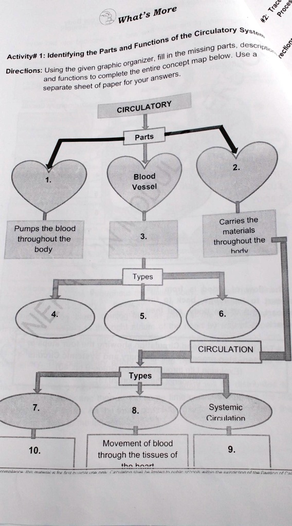 What's More Activity# 1: Identifying the Parts and Functions of the Circulatory System ...