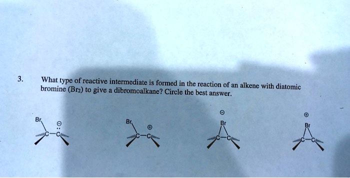 SOLVED: What type of reactive intermediate is formed in the reaction of ...