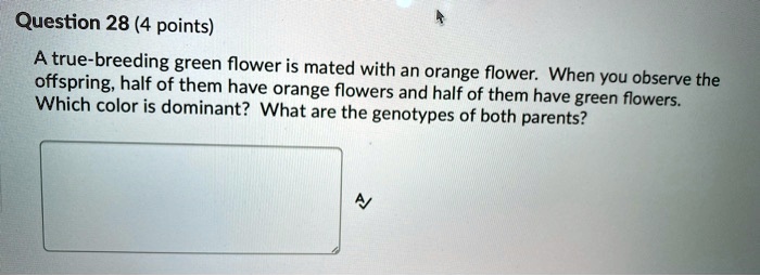 SOLVED: Question 28 (4 points) A true-L breeding green flower is mated ... SOLVED: Question 28 (4 points) A true-L breeding green flower is mated ...