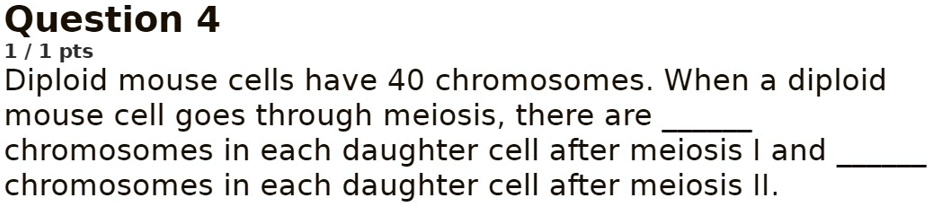 Question 4 1 / 1 pts Diploid mouse cells have 40 chromosomes. When a ...
