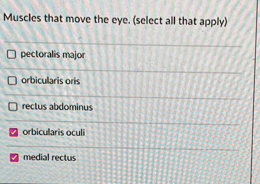 muscles that move the eye select all that apply pectoralis major ...