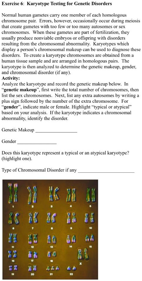 Solved Exercise 6 Karyotype Testing For Genetic Disorders Normal Human Gametes Carry One