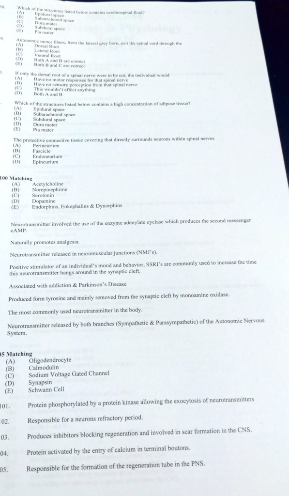 Solved A B C D E Epidural Space Subarachnoid Space Dura