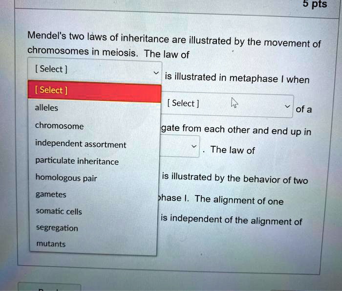 5 pts mendels two laws of inheritance are illustrated by the movement ...