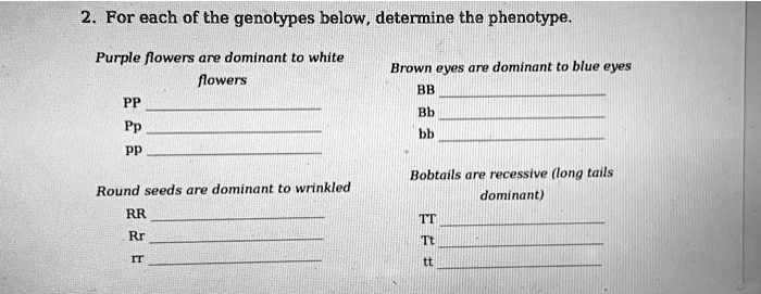 SOLVED: For each of the genotypes below determine the phenotype Purple ...