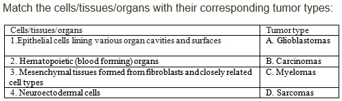 SOLVED: Match the cells/tissues/organs with their corresponding tumor ...