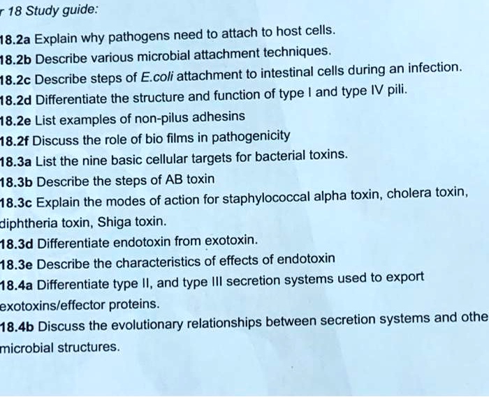 SOLVED: 18 Study guide: 18.2a Explain why pathogens need to attach to ...