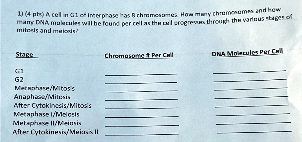1) (4 pts) A cell in G1 of interphase has 8 chromosomes. How many ...