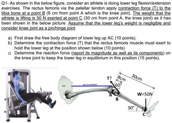 q1 as shown in the below figure consider an athlete is doing lower leg ...