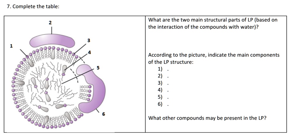 SOLVED: 7. Complete the table: What are the two main structural parts ...