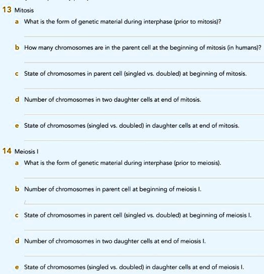 SOLVED: 13 Mitosis What is the form of genetic material during ...