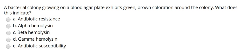 SOLVED: A bacterial colony growing on a blood agar plate exhibits green ...