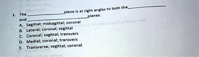 SOLVED: angles to both the plane Is at right The planes and Sagittal ...