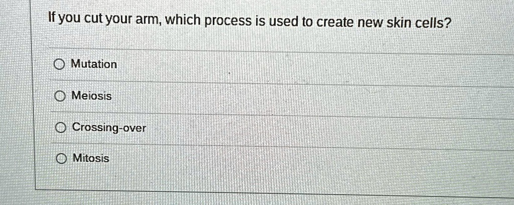 SOLVED: If you cut your arm, which process is used to create new skin ...
