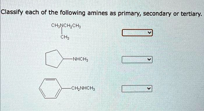 SOLVED: Classify each of the following amines as primary, secondary, or ... SOLVED: Classify each of the following amines as primary, secondary, or ...