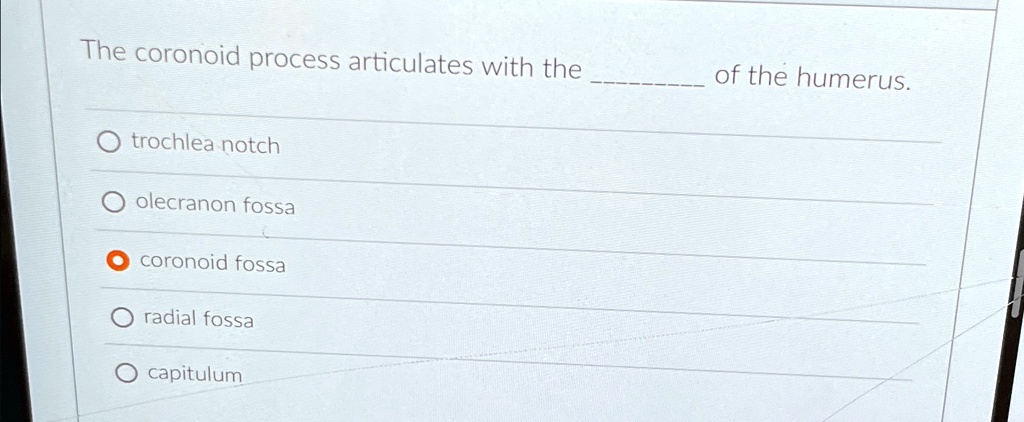 the coronoid process articulates with the of the humerus trochlear ...
