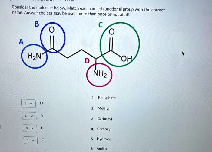 SOLVED: Consider the molecule below: Match each circled functional group with the correct name ...