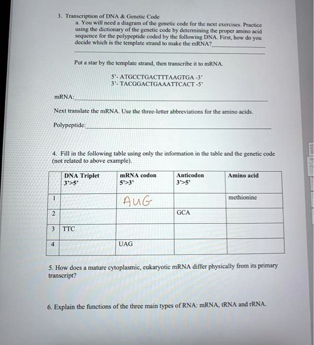 3. Transcription of DNA Genetic Code a. You will need a diagram of the ...