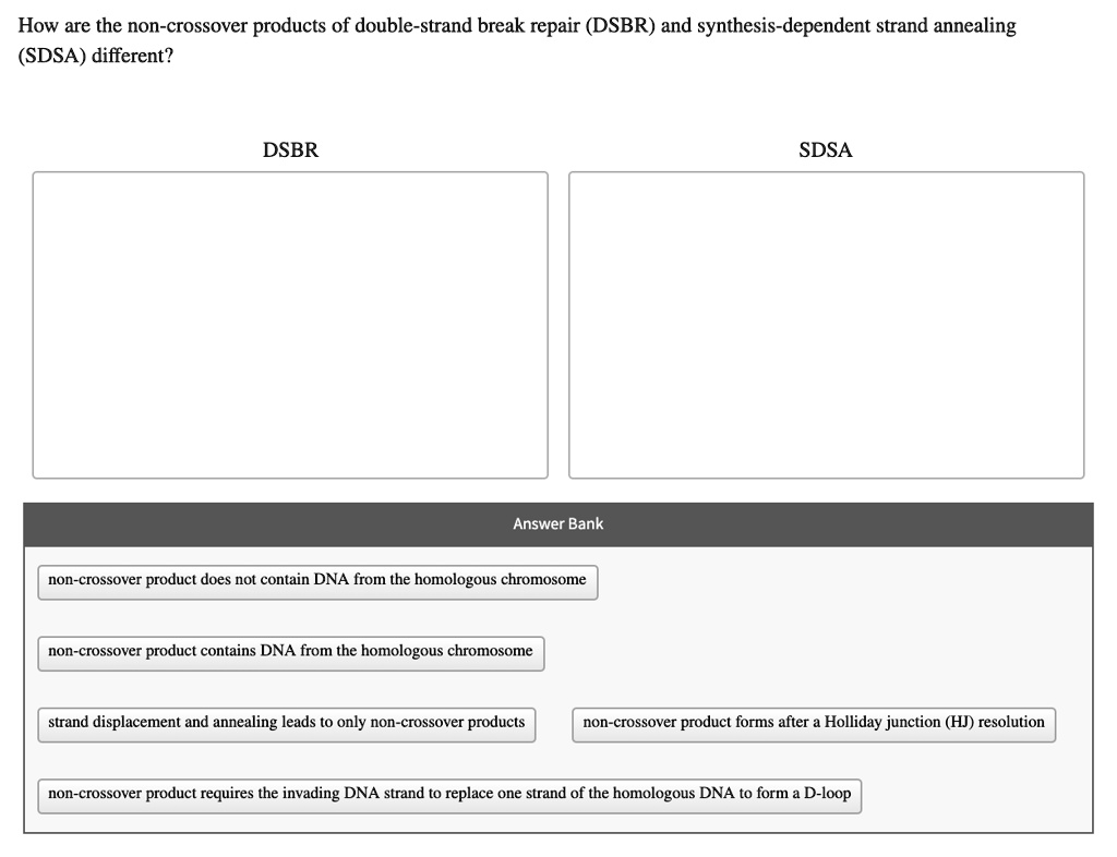 [GET ANSWER] how are the non crossover products of double strand break ...
