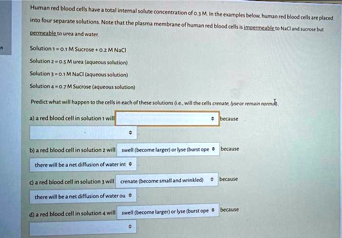 human red blood cells have total internal solute concentration afo3 ...