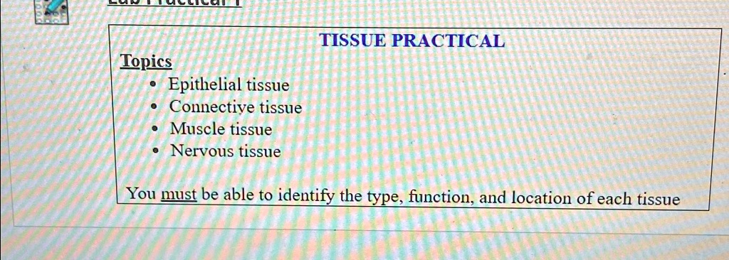 TISSUE PRACTICAL Topics: Epithelial tissue Connective tissue Muscle ...